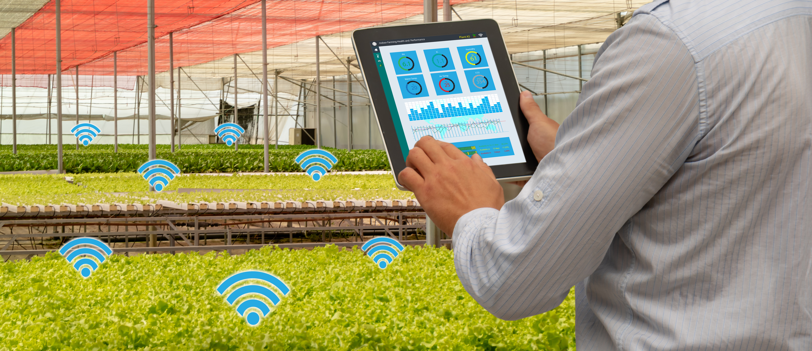 How IoT Improves Food Safety & Restaurant Efficiency | SDS How IoT Improves Food Safety & Restaurant Efficiency | SDS